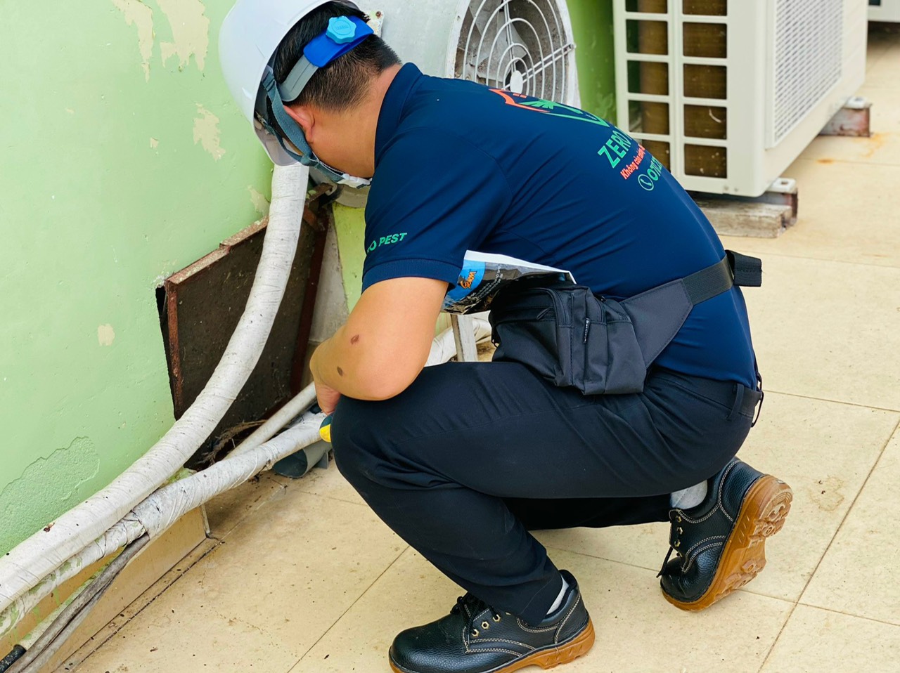 CTY TNHH DIỆT MỐI CÔN TRÙNG VIỆT NAM – Pest Control Viet Nam